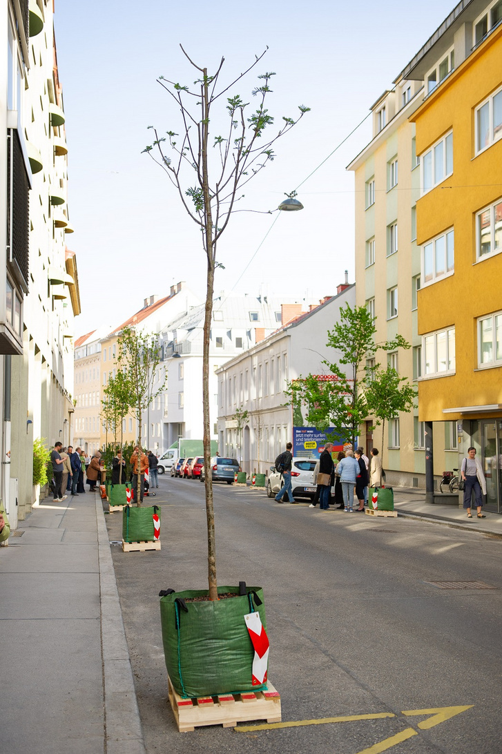Index - Mindeközben - Vándorló fák járják Bécs utcáit