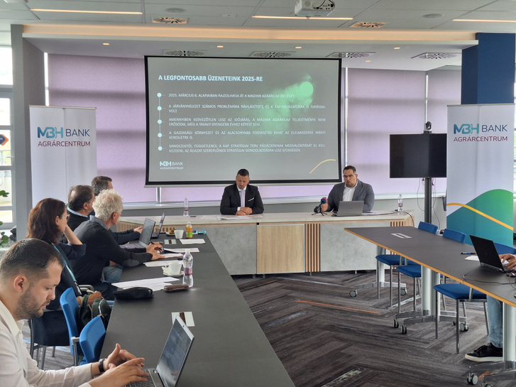 Index - Gazdaság - Brutális pénzeket bukhat a magyar gazdaság: van, ami ...