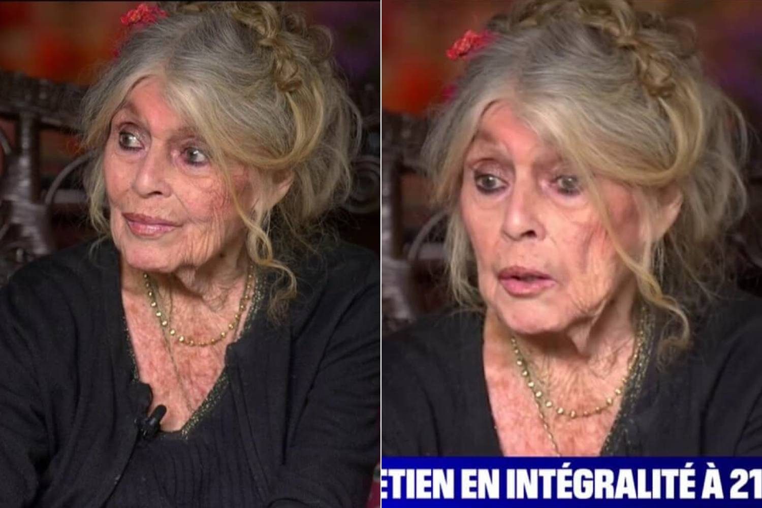 Ámulunk a 90 éves Brigitte Bardot friss fotóin: 11 év rejtőzködés után ...