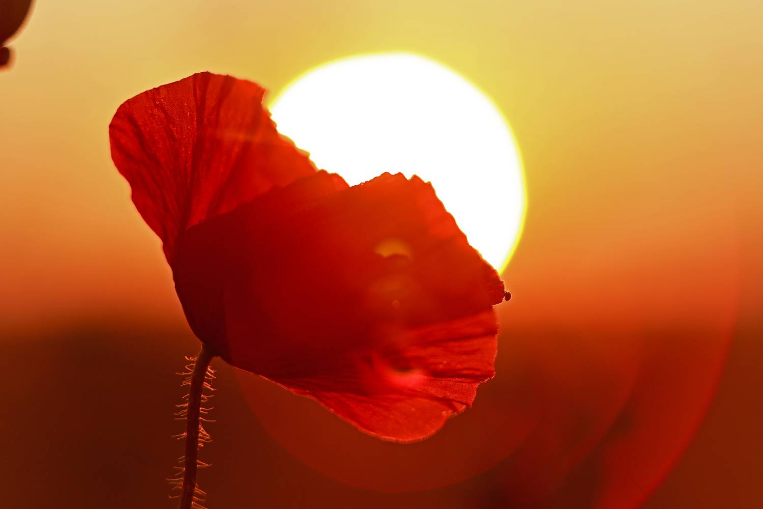Ezen a napon figyeld meg az árnyékod: ilyennek csak egyszer látod egy ...
