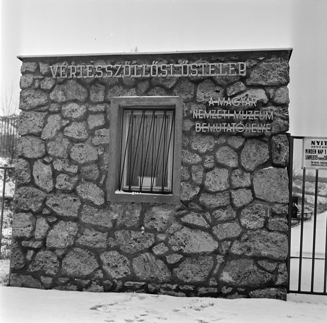 A 350 ezer éves ősünk – 60 éve találták meg Samu, az előember maradványait - Cikkek - We love ...