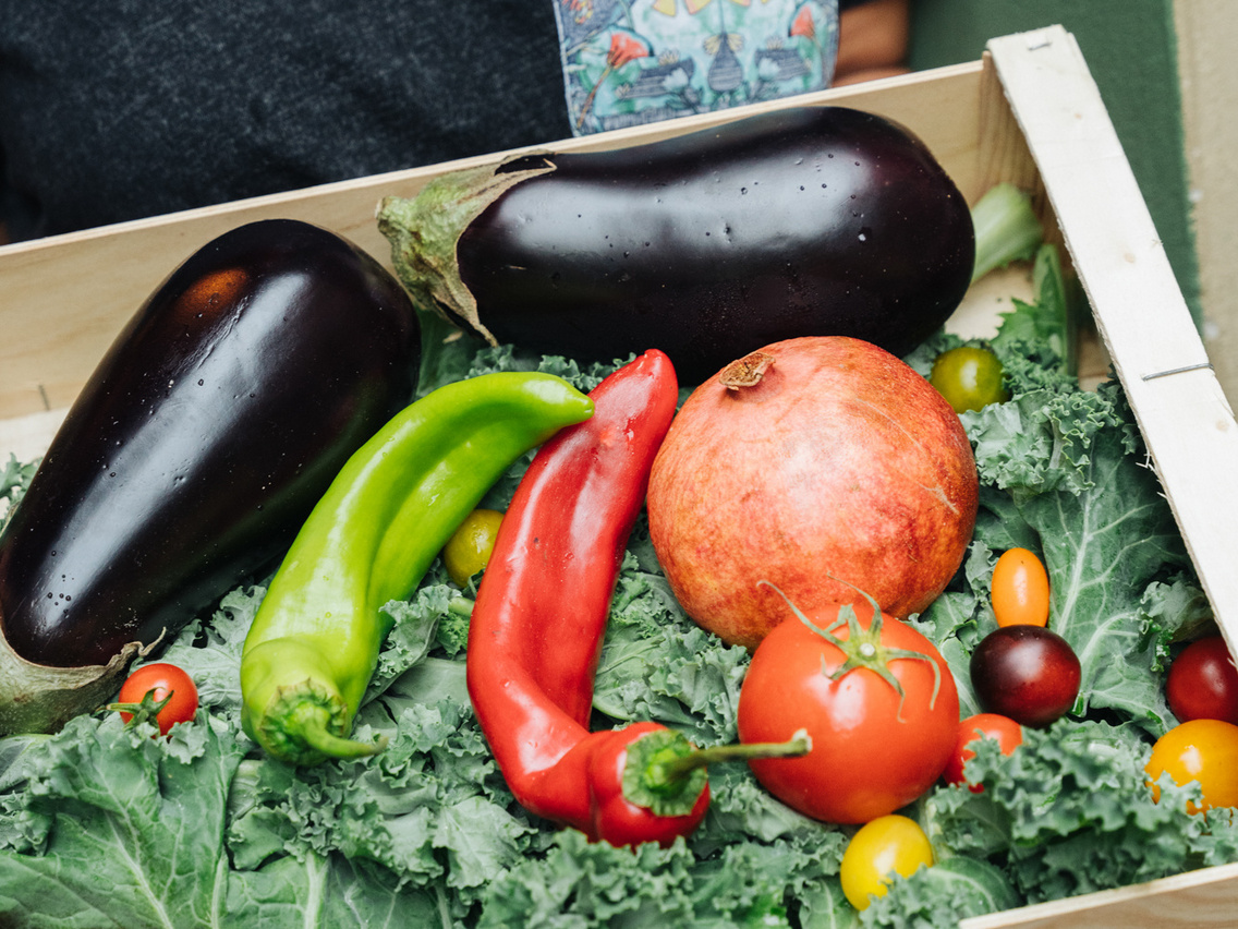 Irányt váltott a Dobrumba legfiatalabb testvére – Húsmentesen újult meg ...