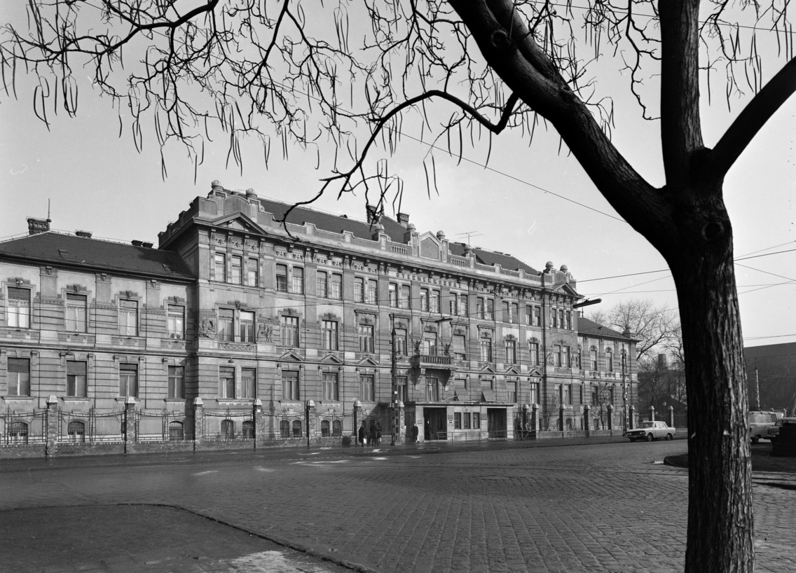 150 éve született az az ember, aki megteremtette a modern hazai csecsemőgyógyászatot – Heim Pál ...