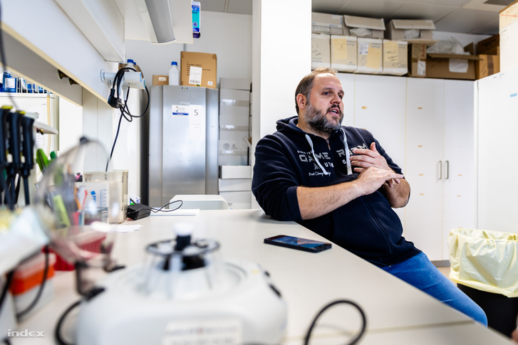 Index - Tudomány - Már négy-öt éven belül meglehet a magyar rákgyógyszer